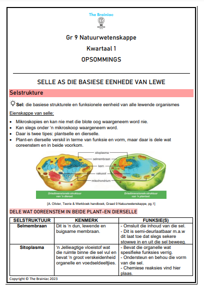 Gr 9 NW Opsommings - Kwartaal 1