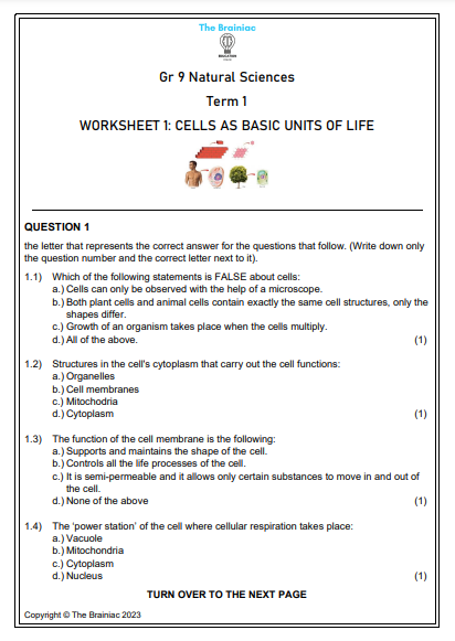 Gr 9 NS Worksheets - Term 1