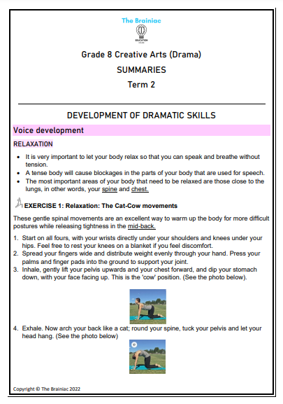 Gr 8 Creative Arts (Drama) Summaries - Term 2