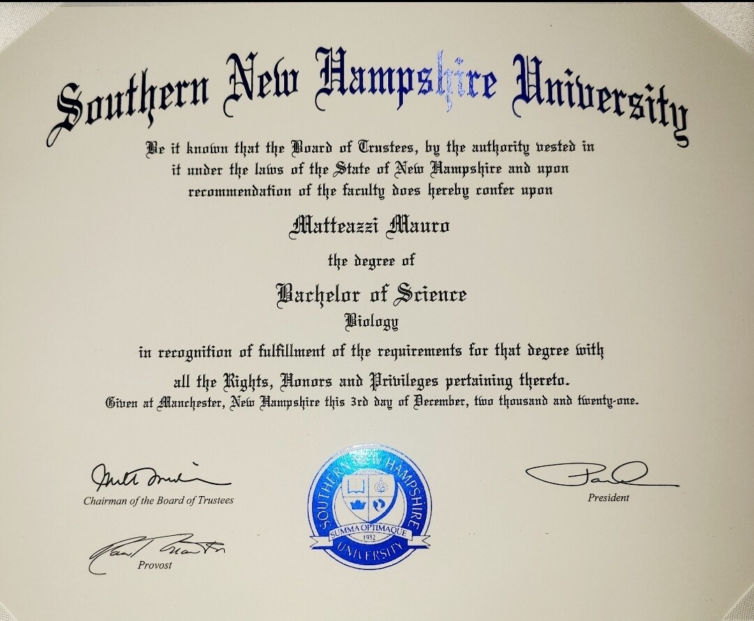 University Diploma