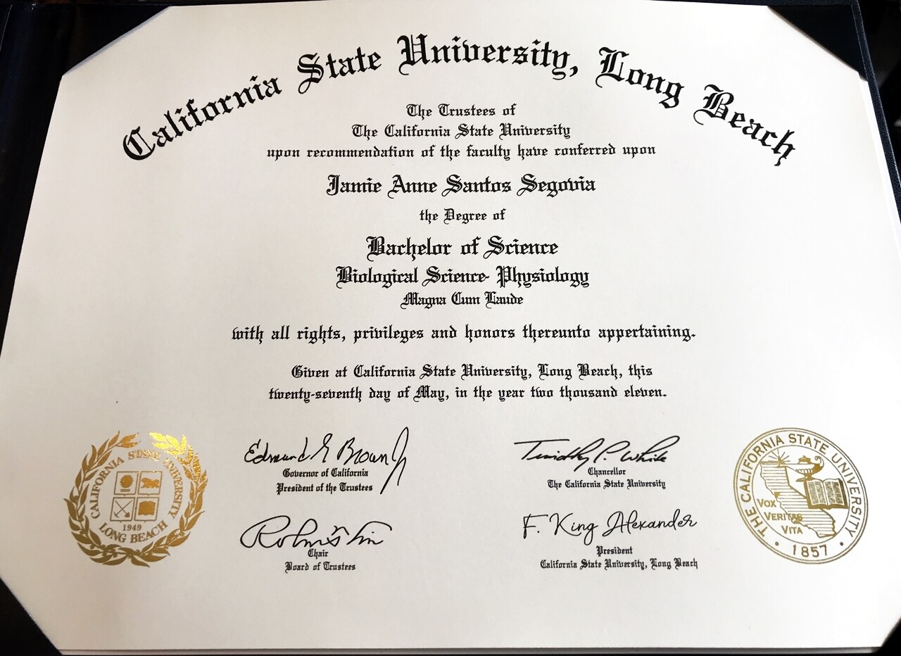 University Diploma University Diplomas