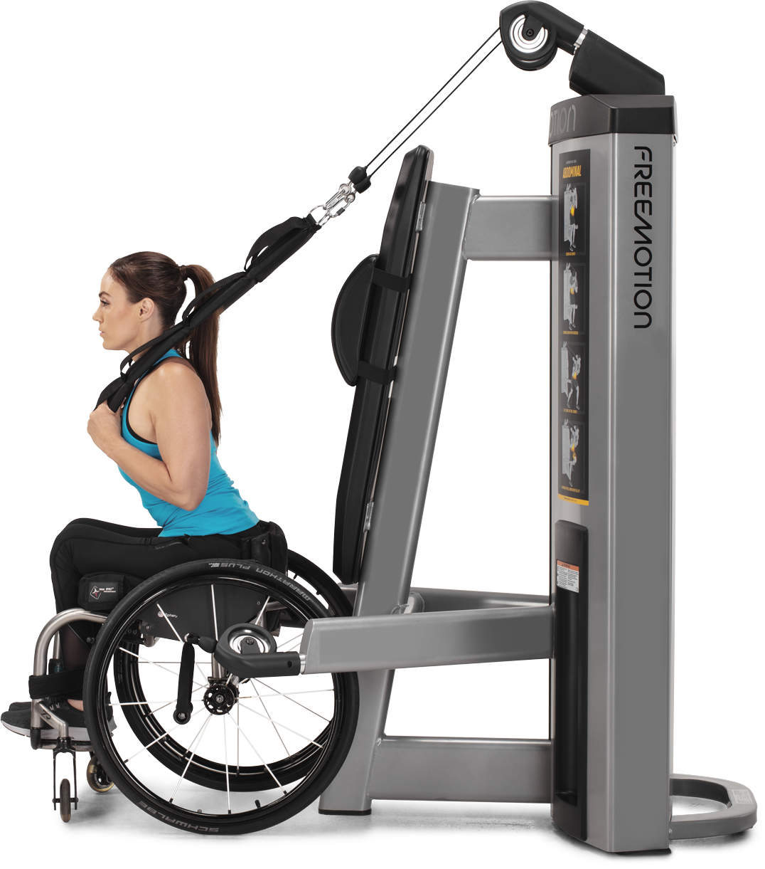 Freemotion GENESIS DS™ Abdominal/Biceps,