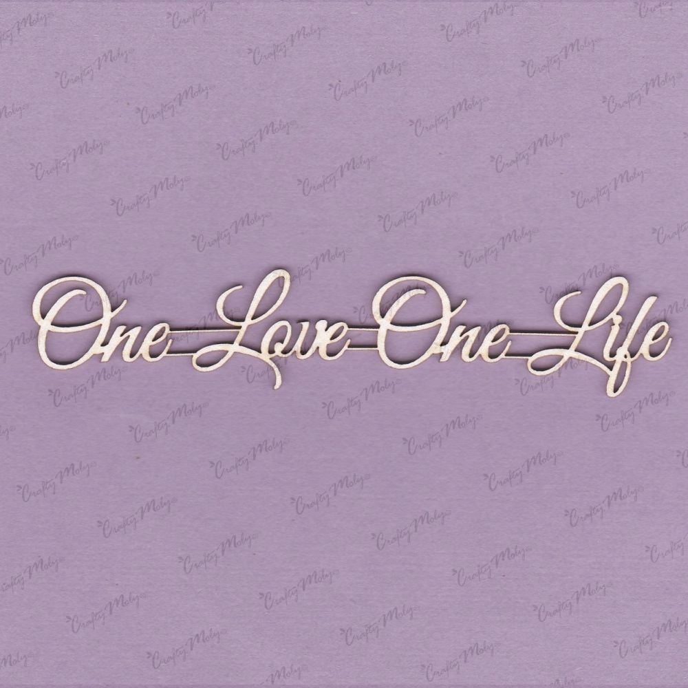 One Love One Life