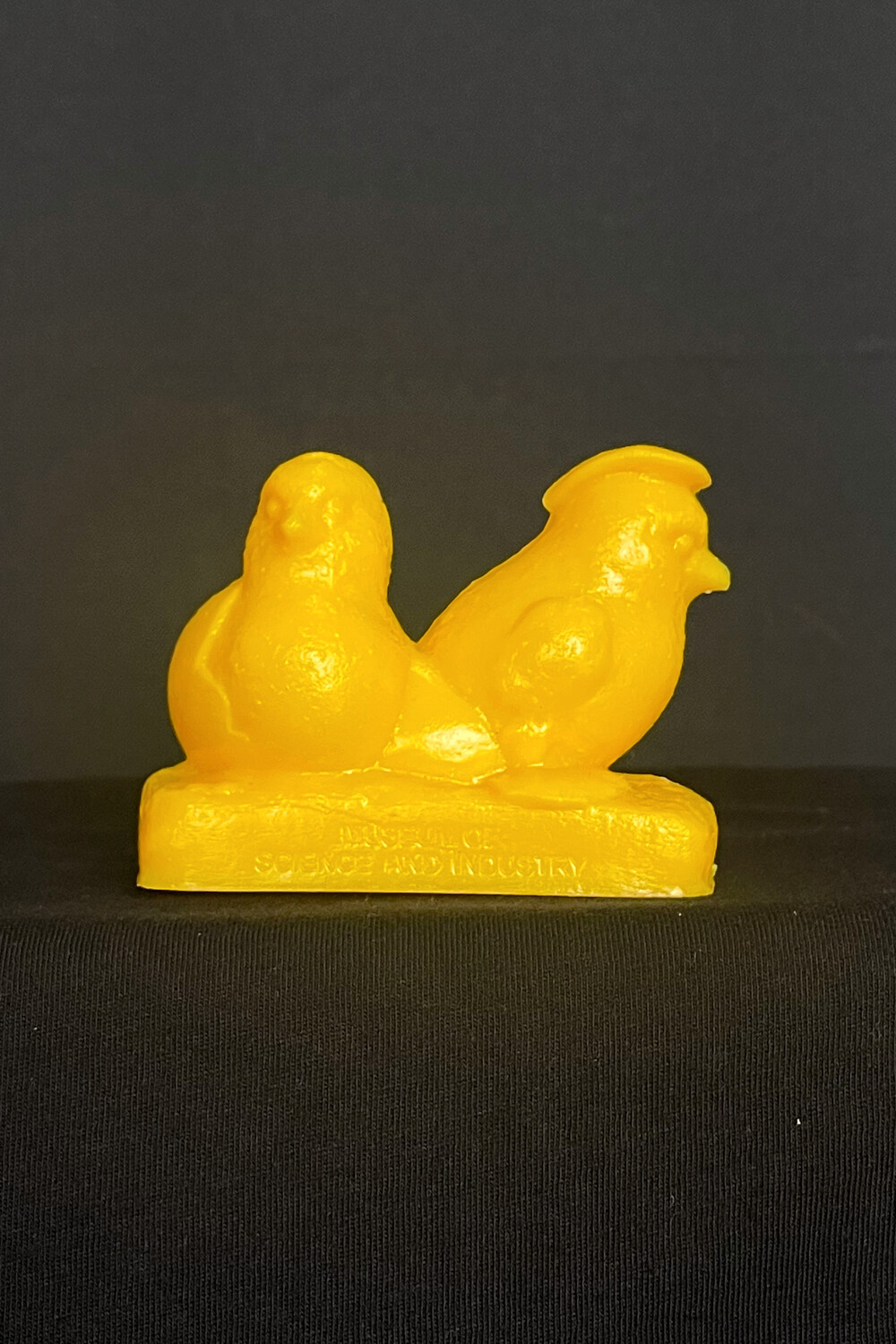 Plastic Baby Chicks Souvenir [Museum of Science & Industry] | Mold-A ...