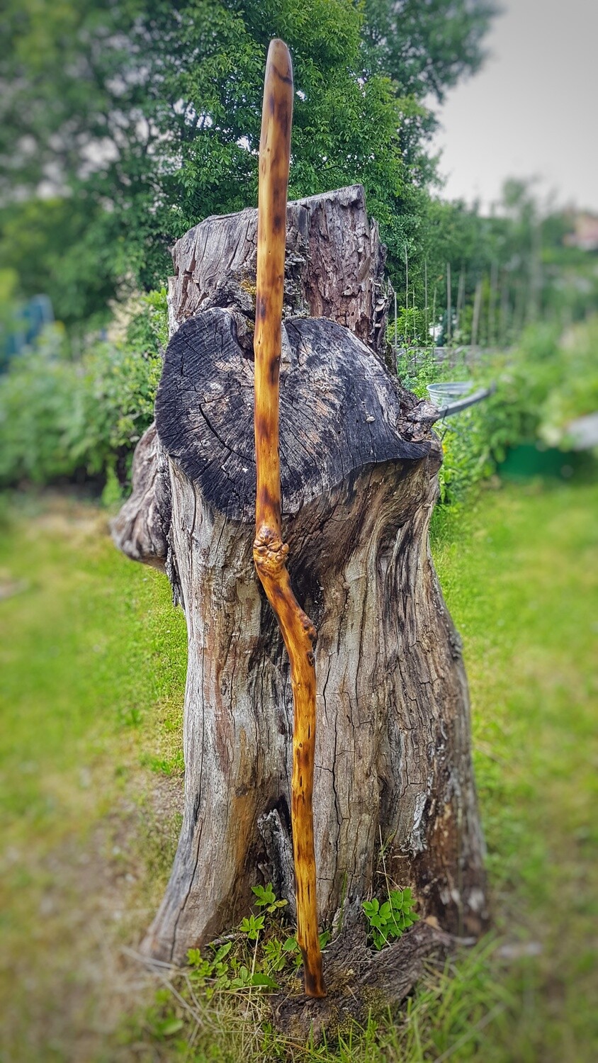 Holzstab "MALEFICEND" - Druidenstab aus Echtholz!