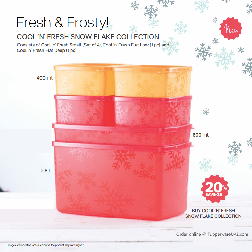 Tupperware Cool N Fresh Snow Flake Collection