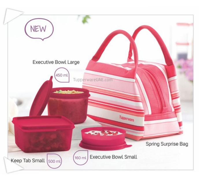 Tupperware Spring Surprise Lunch Set