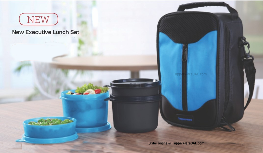 Tupperware New Executive Lunch Set