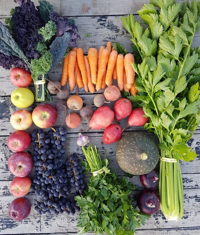 Community Supported Agriculture [CSA]