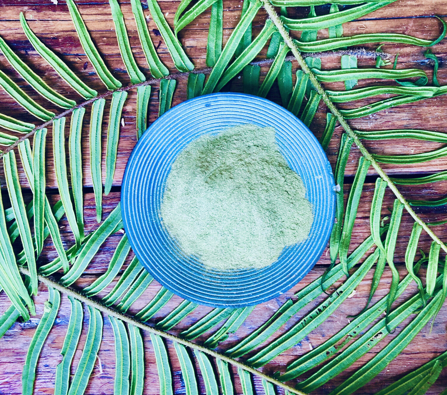 Plantain Powder - Store - Miss Anne's Maypop Herb Shop