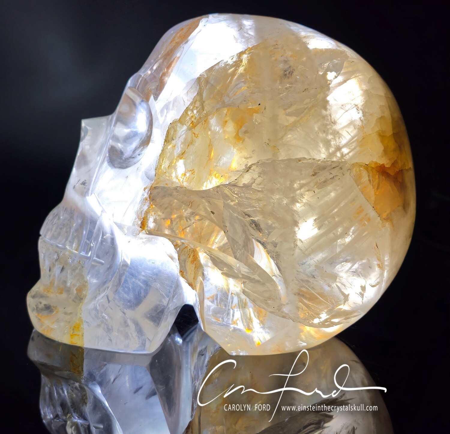 Store | EINSTEIN . . . the Skull of Consciousness