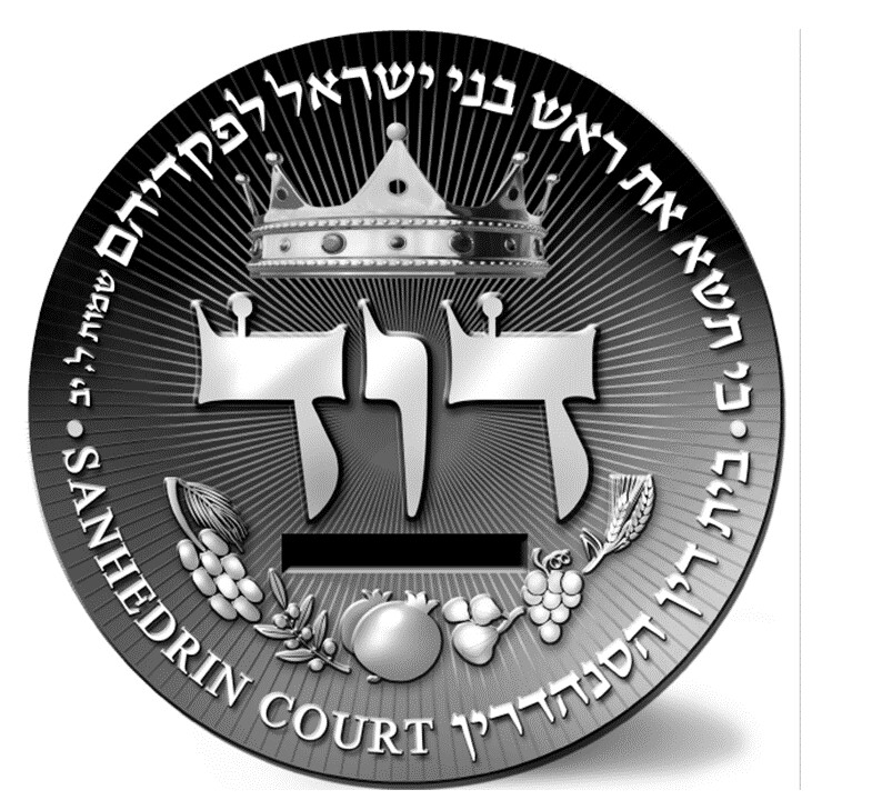 Solid Silver 30 grams - King David Temple Coin