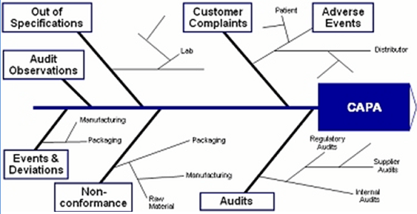 Corrective and Preventive Actions CAPA Procedure