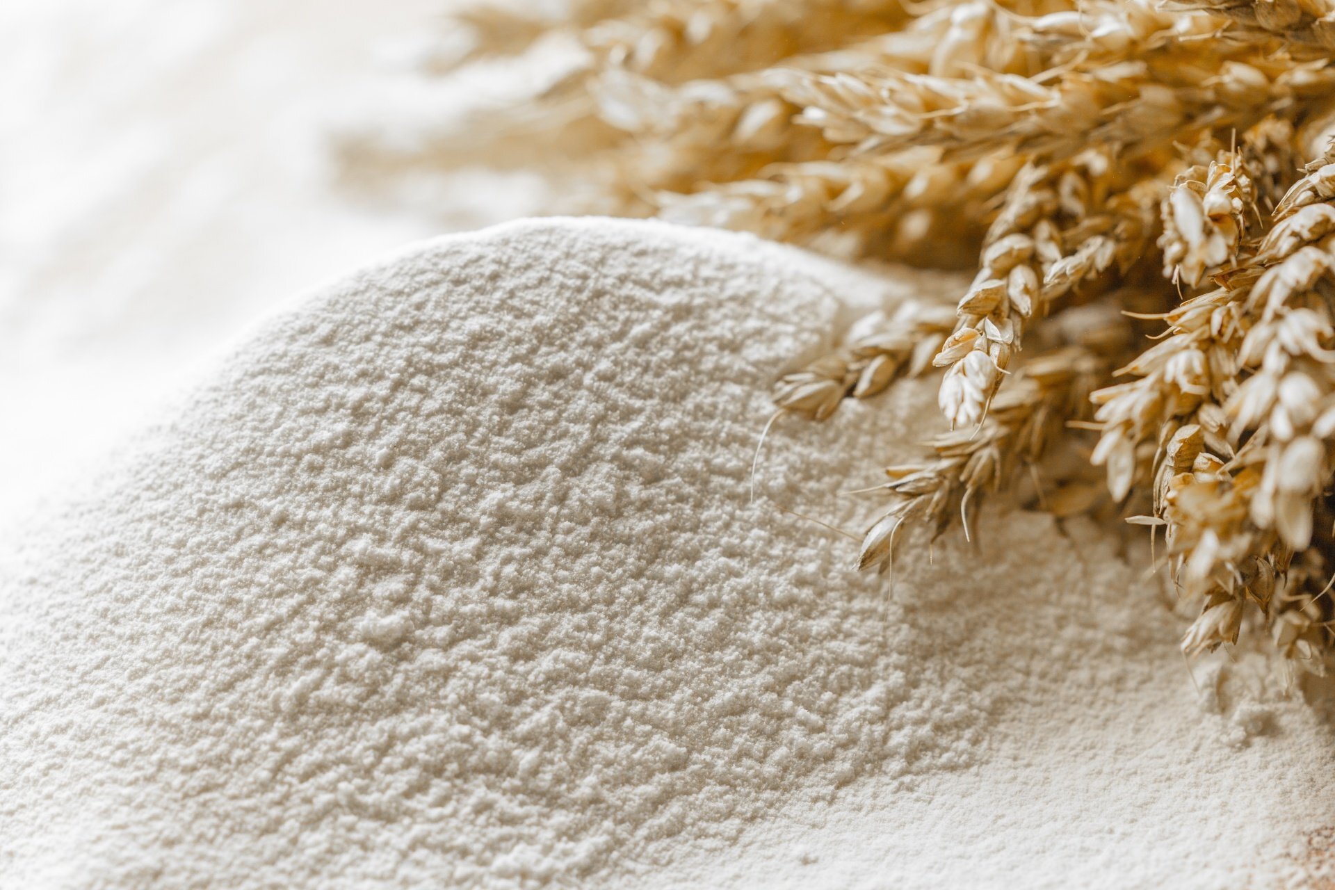 Farine di grano duro | Molino Parri | Sinalunga SI
