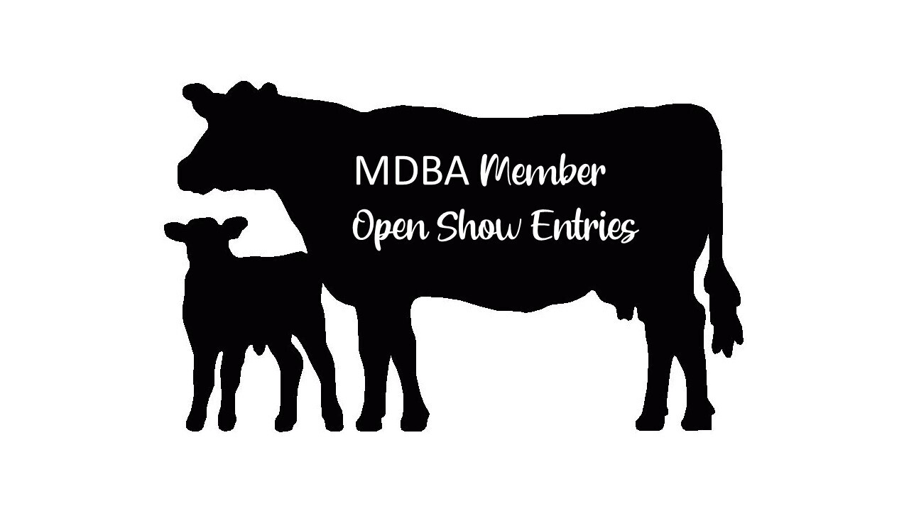 Open Show - MDBA Member - Show Entry - 2024