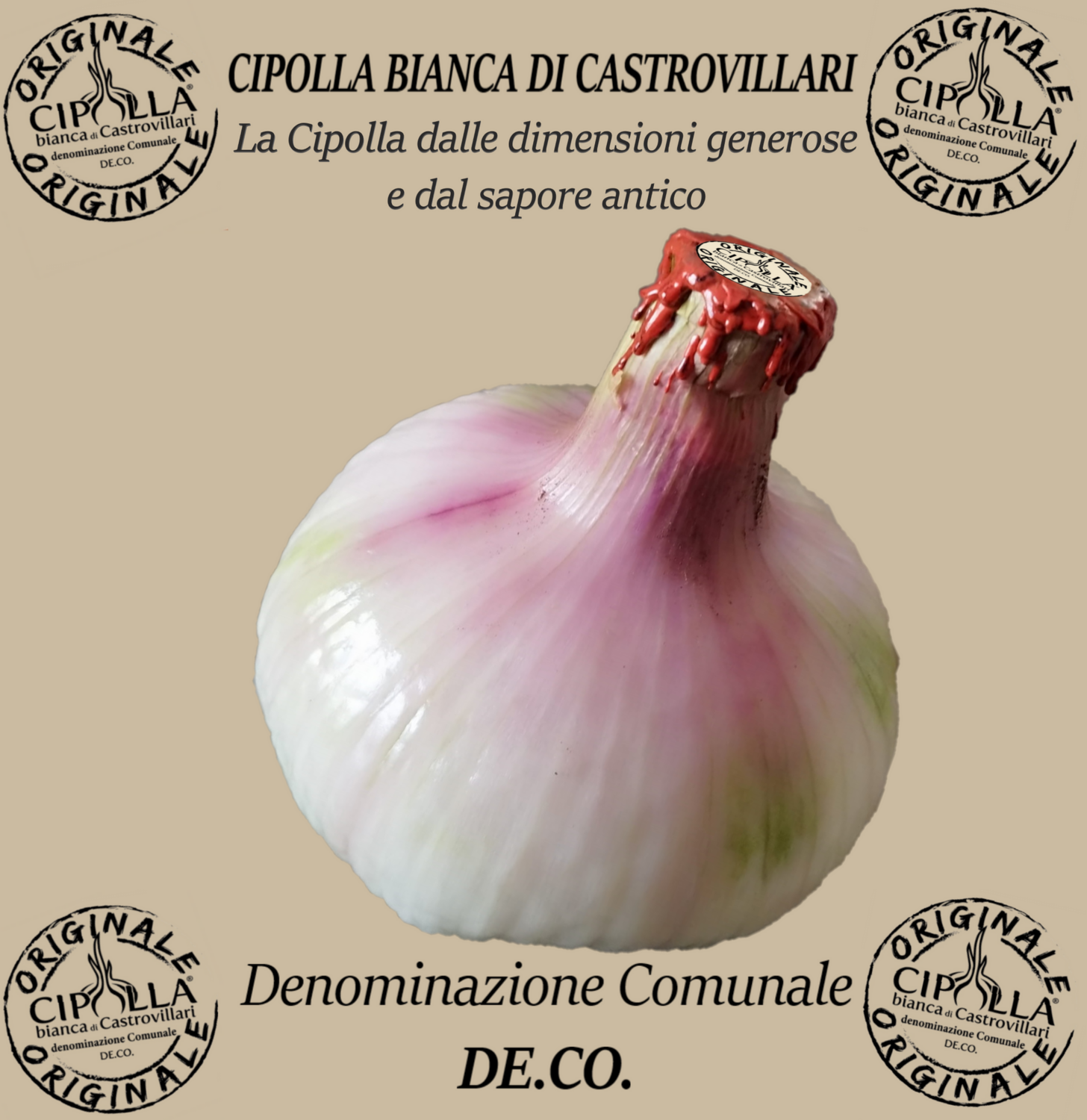 Cipolla bianca di Castrovillari con Denominazione Comunale DE.CO.