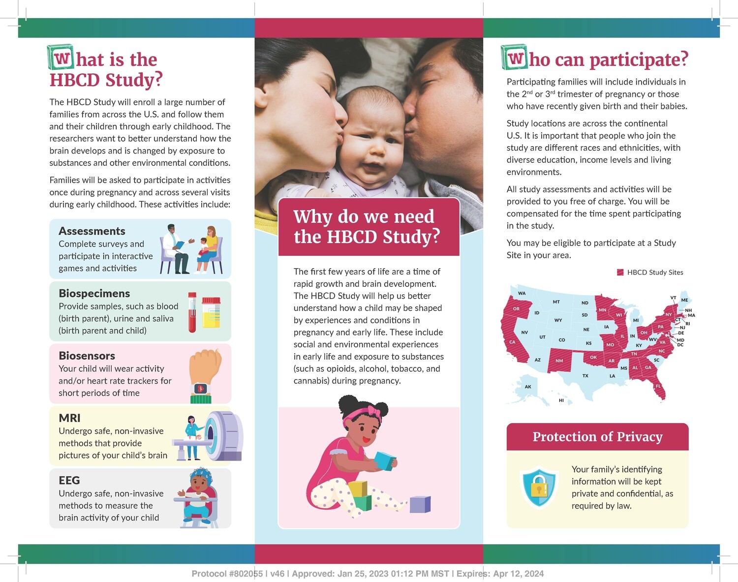 Healthy Brain and Child Development Participant Brochure