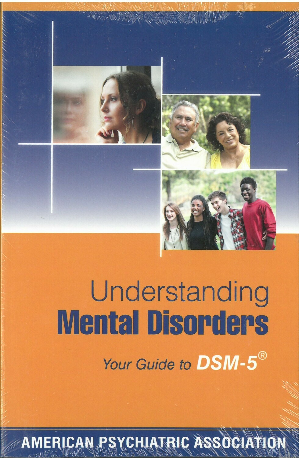 Understanding Mental Disorders: Your Guide to DSM-5 – Store – Ministry ...