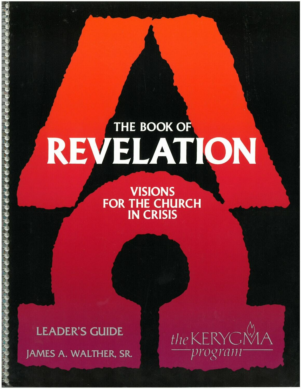 Book of Revelation: Visions for the Church in Crisis Leader Guide ...