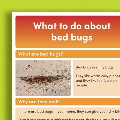 Bed Bugs Guide