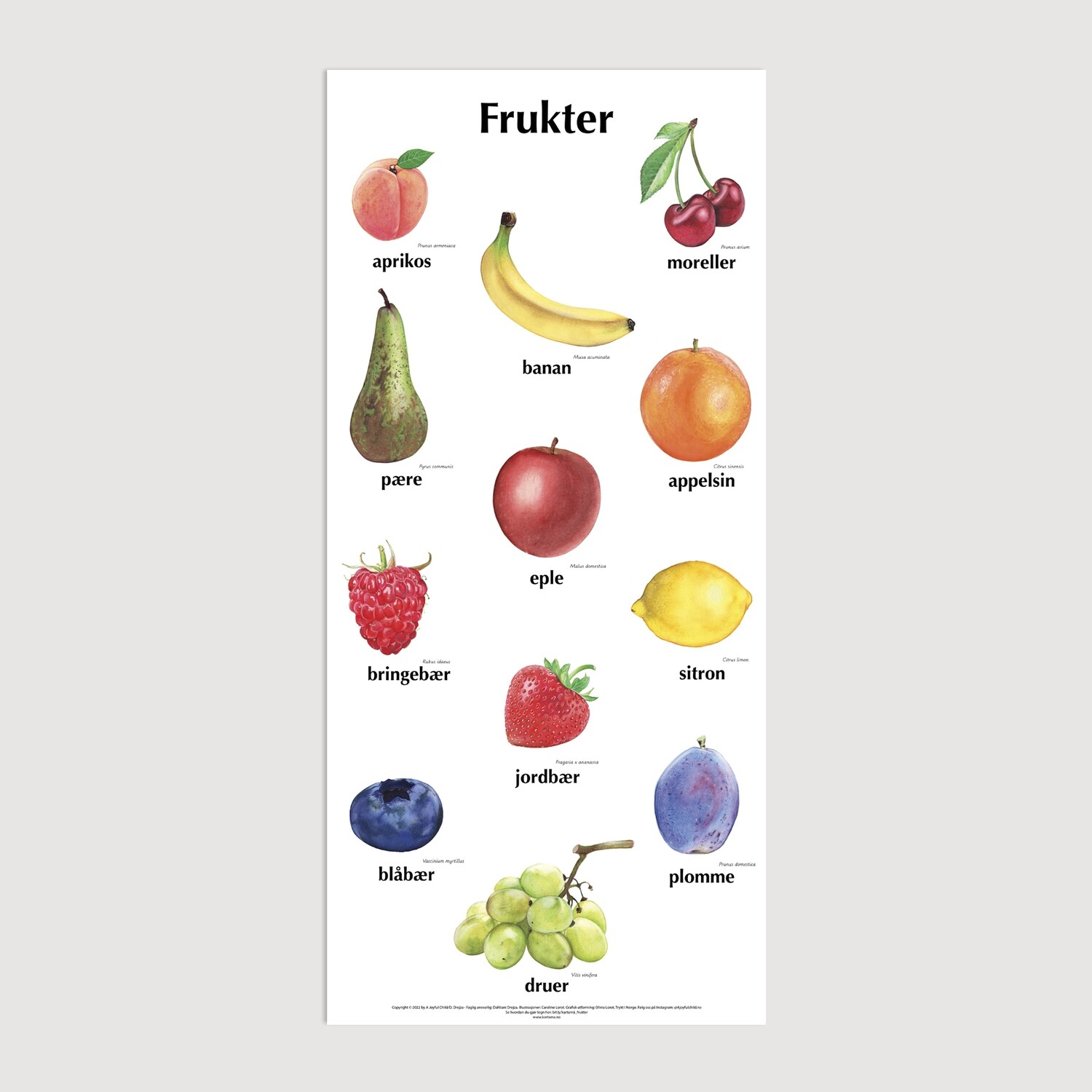 Plakat med vakre bilder - Frukter