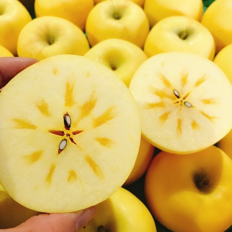 Haruka Honey Apple - Malus domestica | Rare Plant Seeds | Whimsy and Wonder