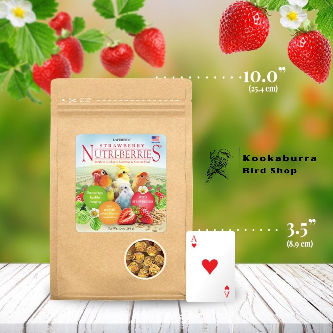 10 oz Small Bird Strawberry Nutri-Berries (Limited Edition)