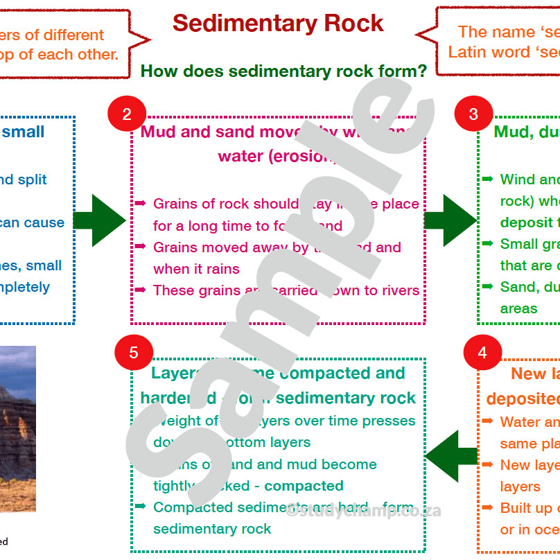 Grade 5 Natural Sciences Summary: Sedimentary rock and Fossils