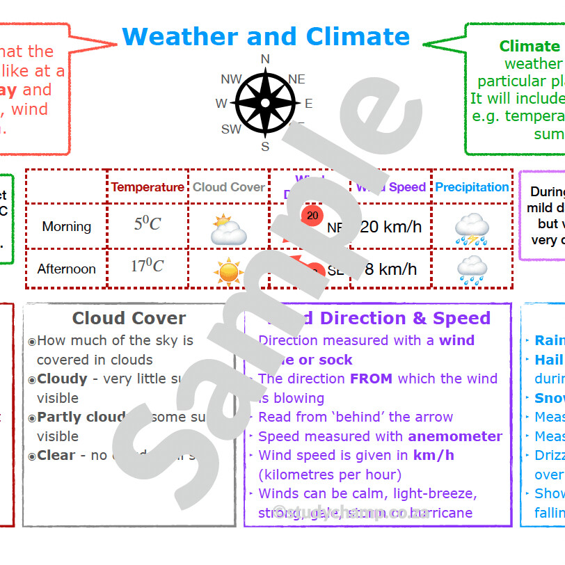 Grade 5 Geography Summary: Weather, Climate and Vegetation