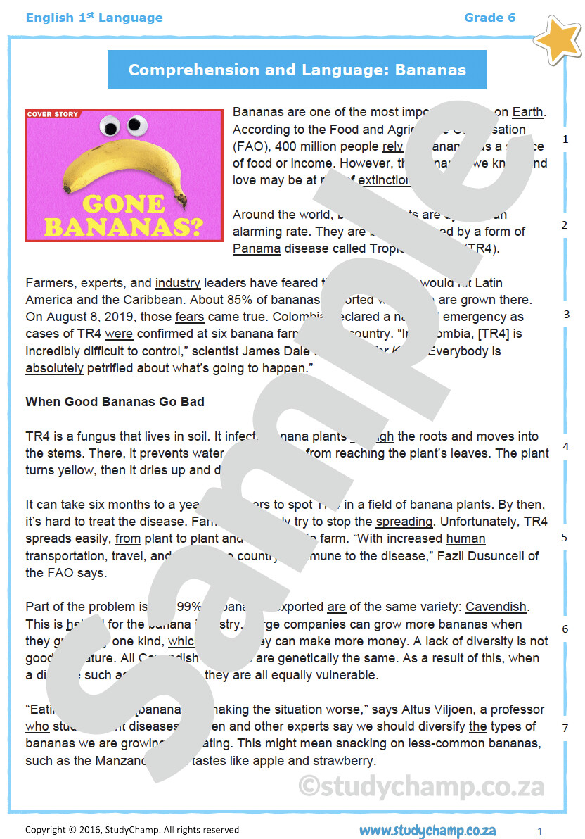 Grade 6 English Comprehension and Language: Bananas