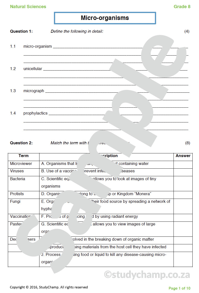Grade 8 Natural Sciences Test: Micro-organisms