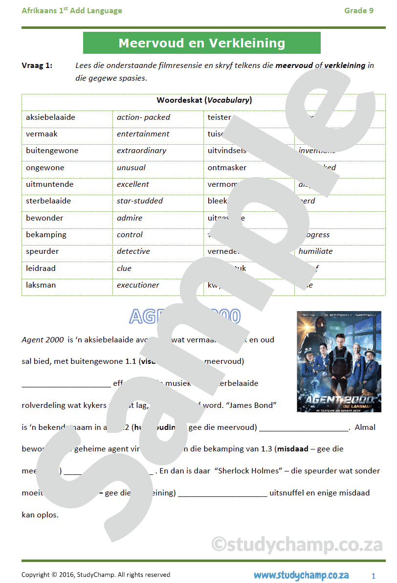 Grade 9 Afrikaans: Meervoud en Verkleining