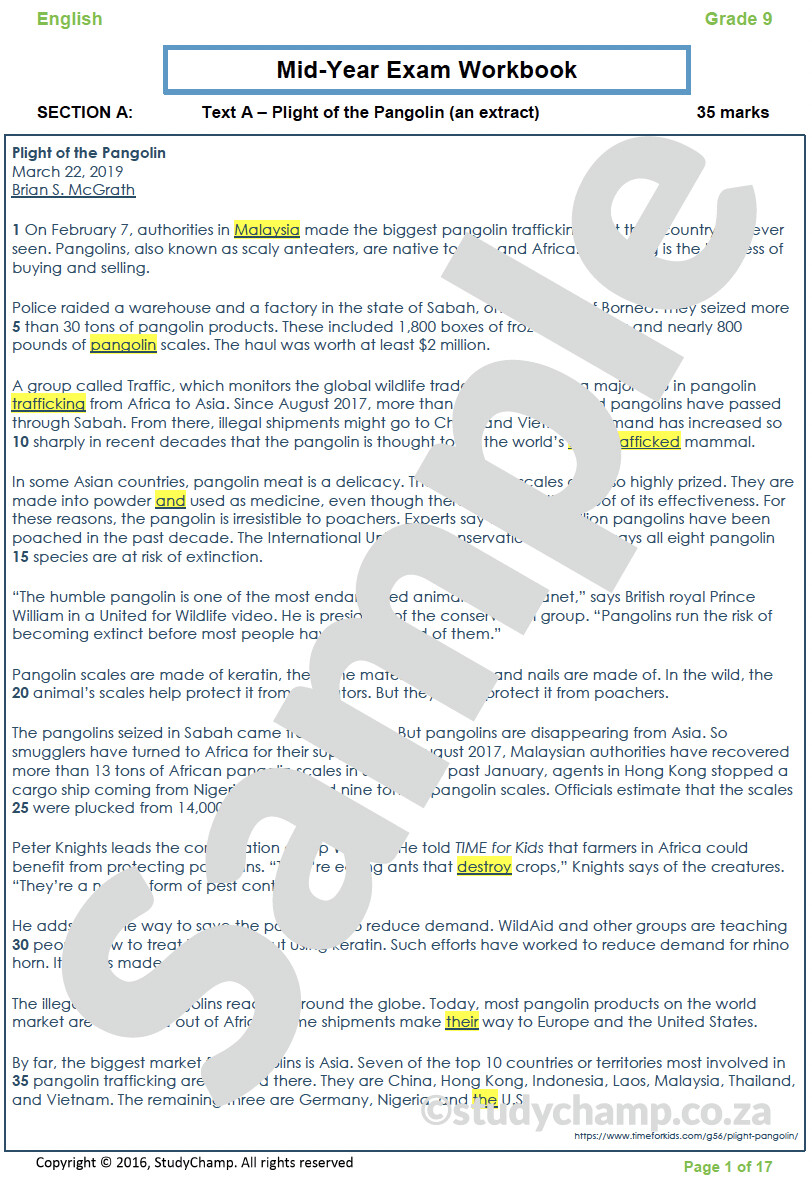 Grade 9 Mid-Year Exam Bundle