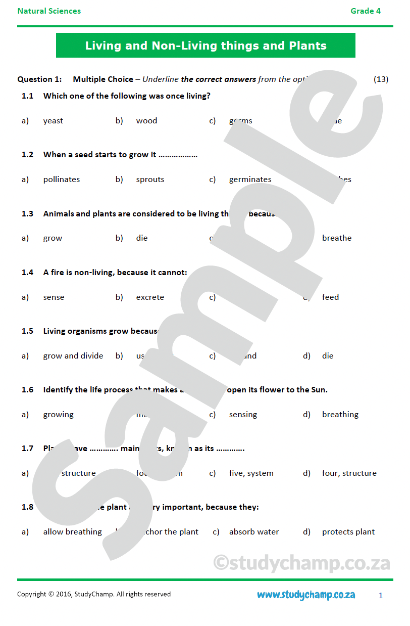 Grade 4 Natural Sciences Test Living And Non living Things And Plants