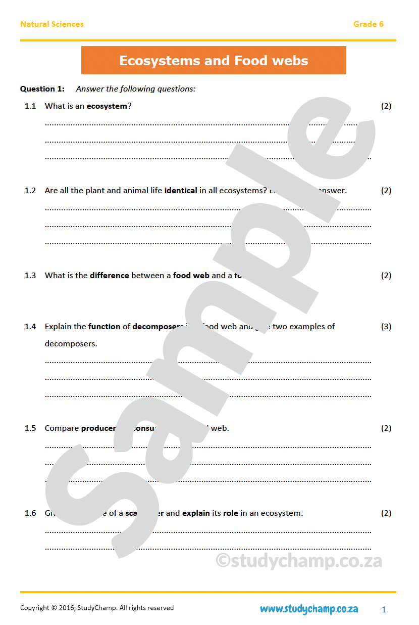 Grade 6 Natural Sciences Test: Ecosystems