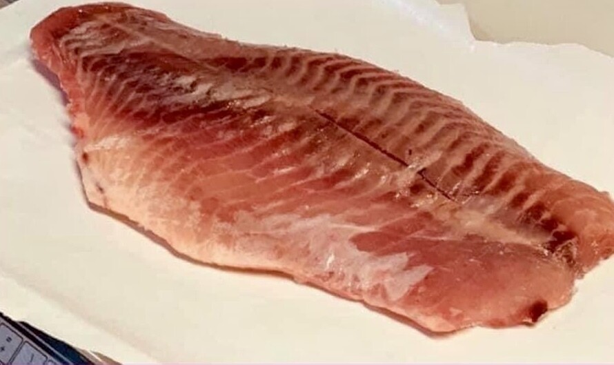 Buffalo Fish - Fillets - Wild Caught - (Толстолобик - Филе)