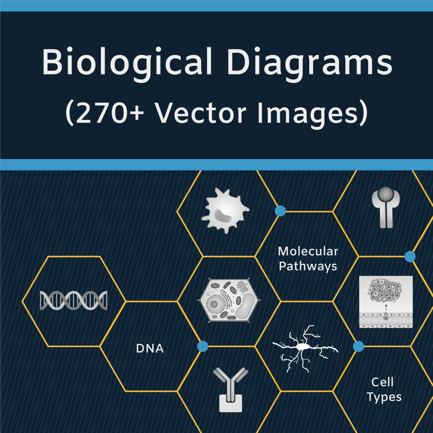 Biological Diagram Templates - Vector Drawings for Download