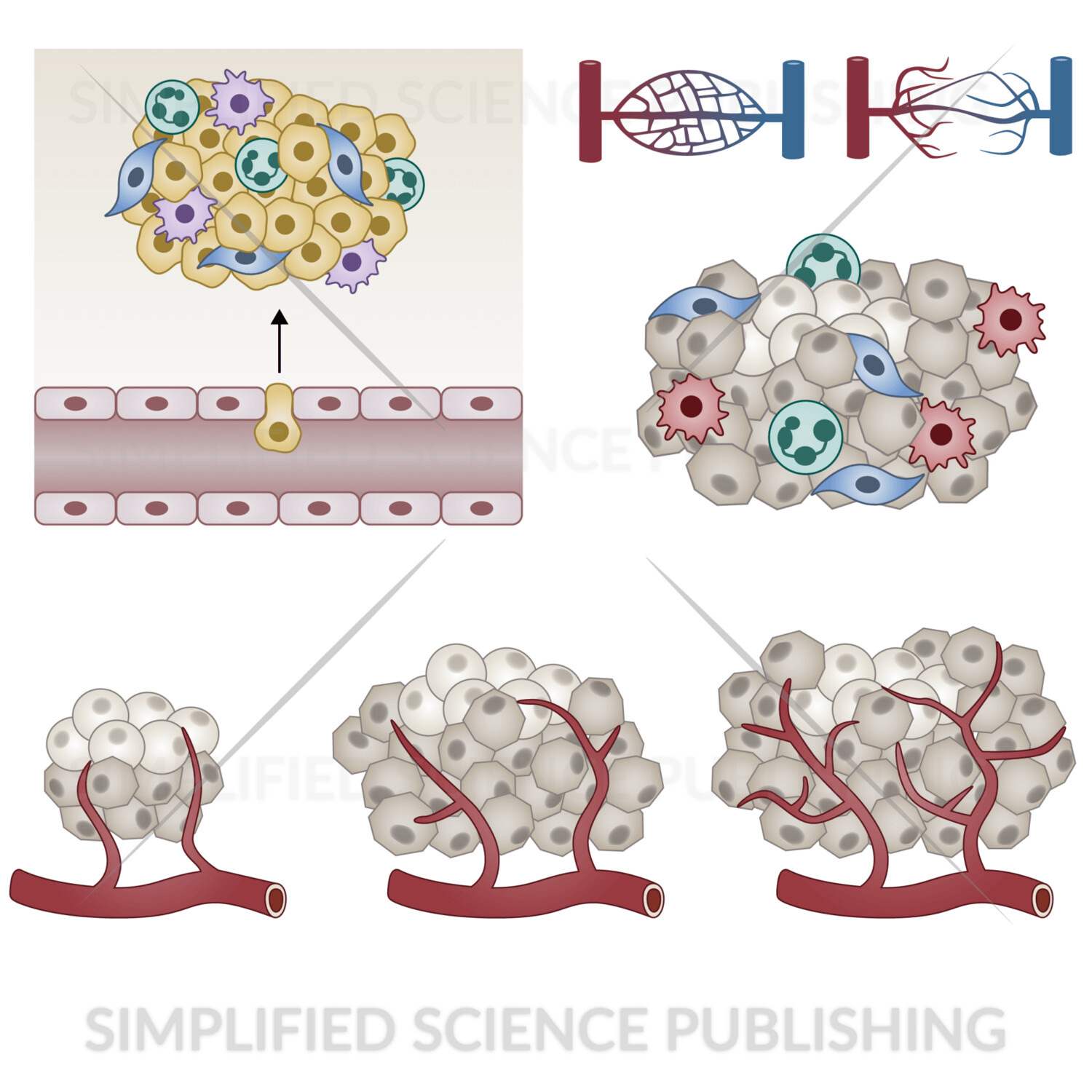 Cancer Cell Drawings and Templates - Vector Images for Download