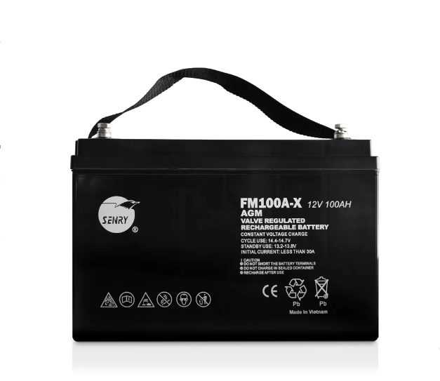 100AH AGM Battery, FM100A-X