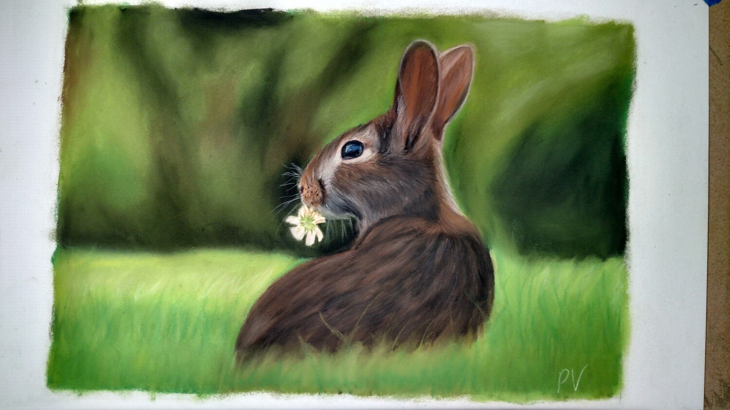 Pastel Rabbit - Matted