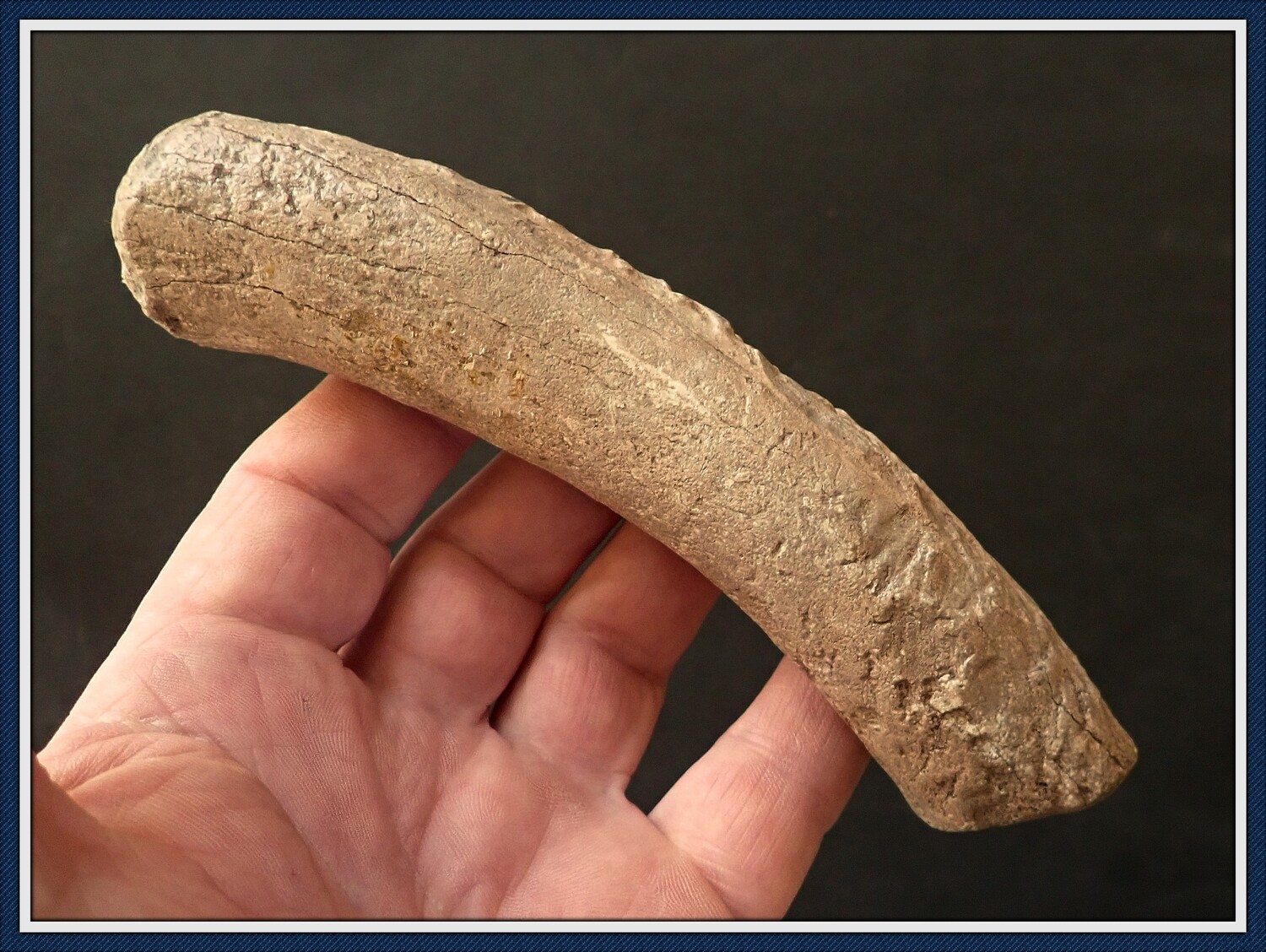 Deer Antler Baton ~ Knapping Tool
