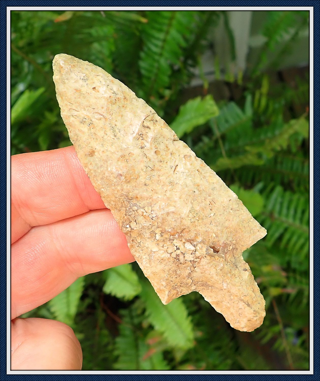 ~ Big Bay Bottom Chert ~ Lochloosa Newnan ~ - Homepage - Rivers of Time