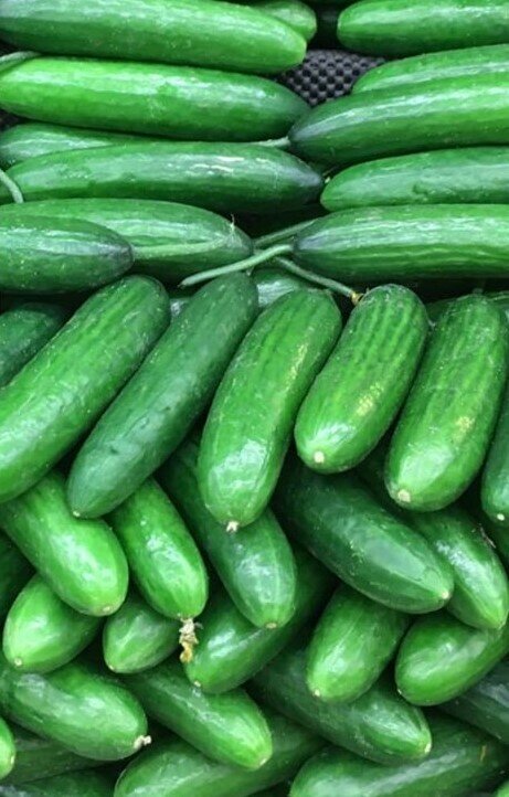 FRESH LOCAL LEBANESE CUCUMBER (1KG)