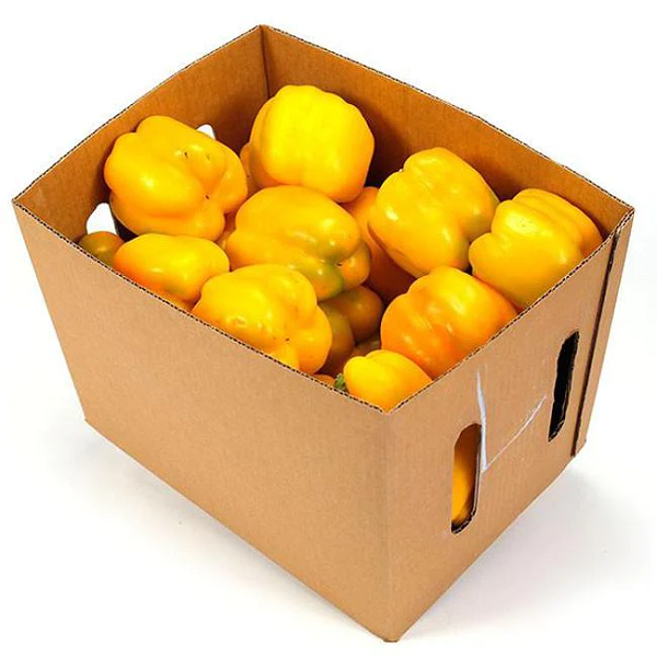 CAPSICUM YELLOW (BOX)