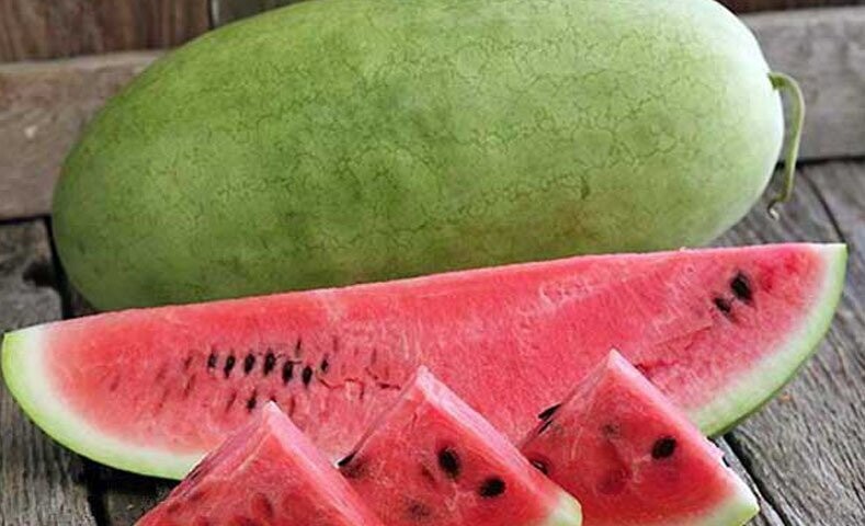 SANDIA CHARLESTON GREY 133