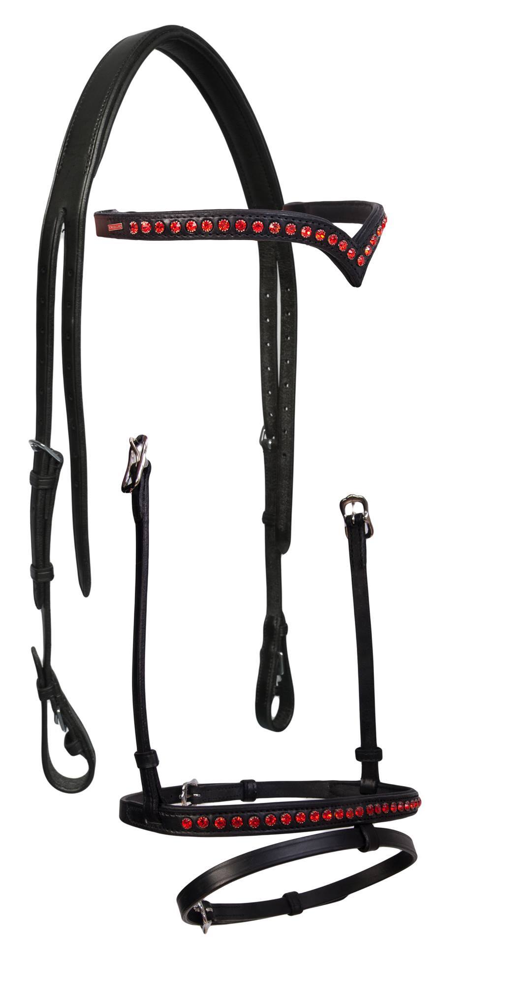 Combination Bridles