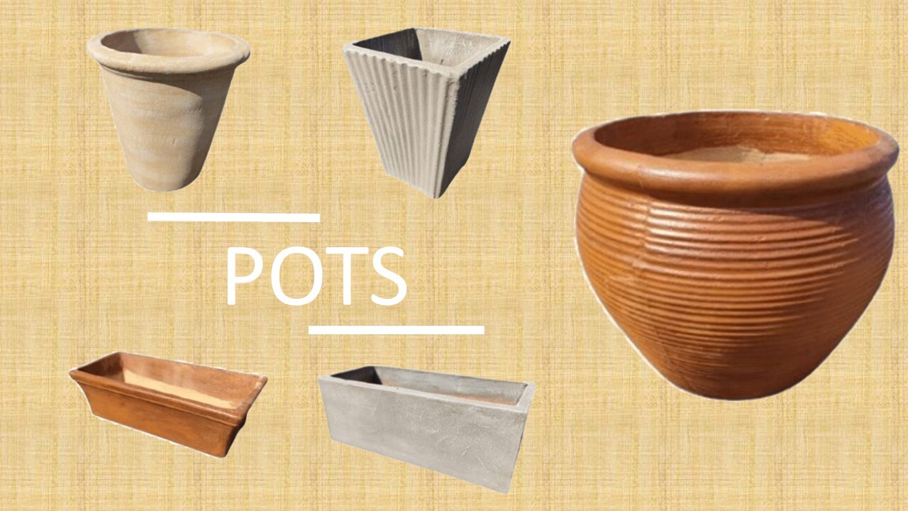 POTS