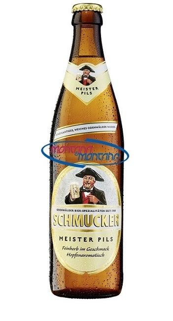 BEER MEISTER PILS 24x330ml