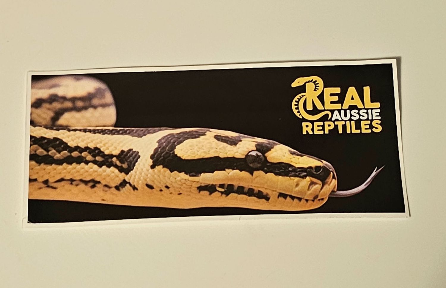 Real Aussie Reptiles Decal / Sticker