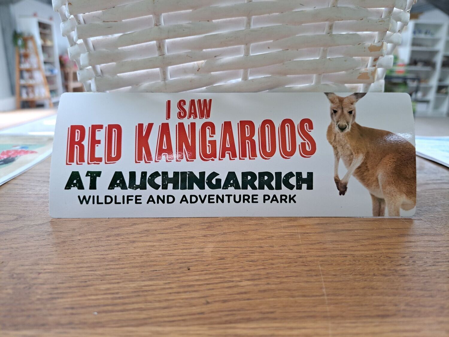 Auchingarrich Red Kangaroo Bumper Sticker